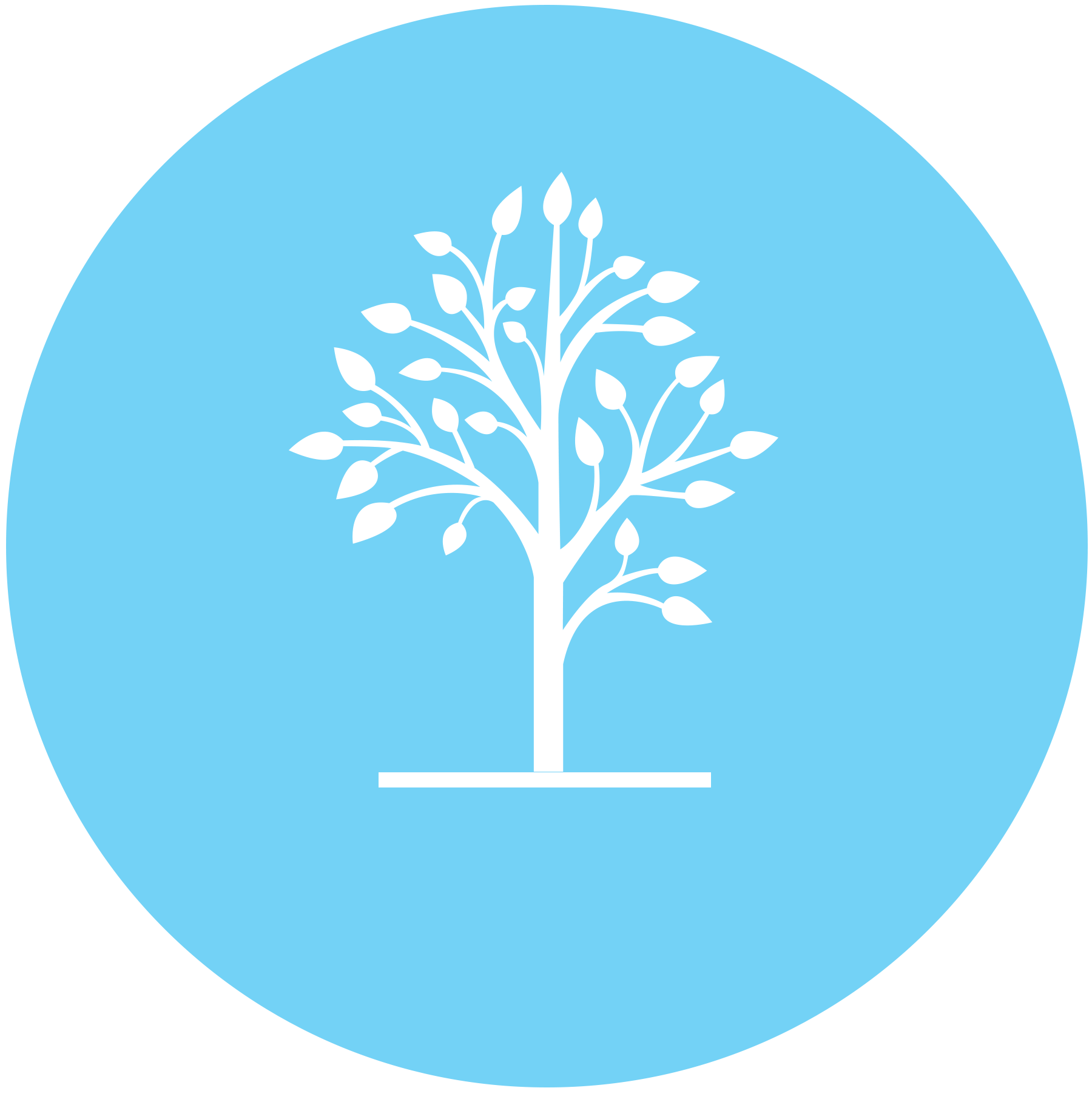 Growth Guide | Calvary Church